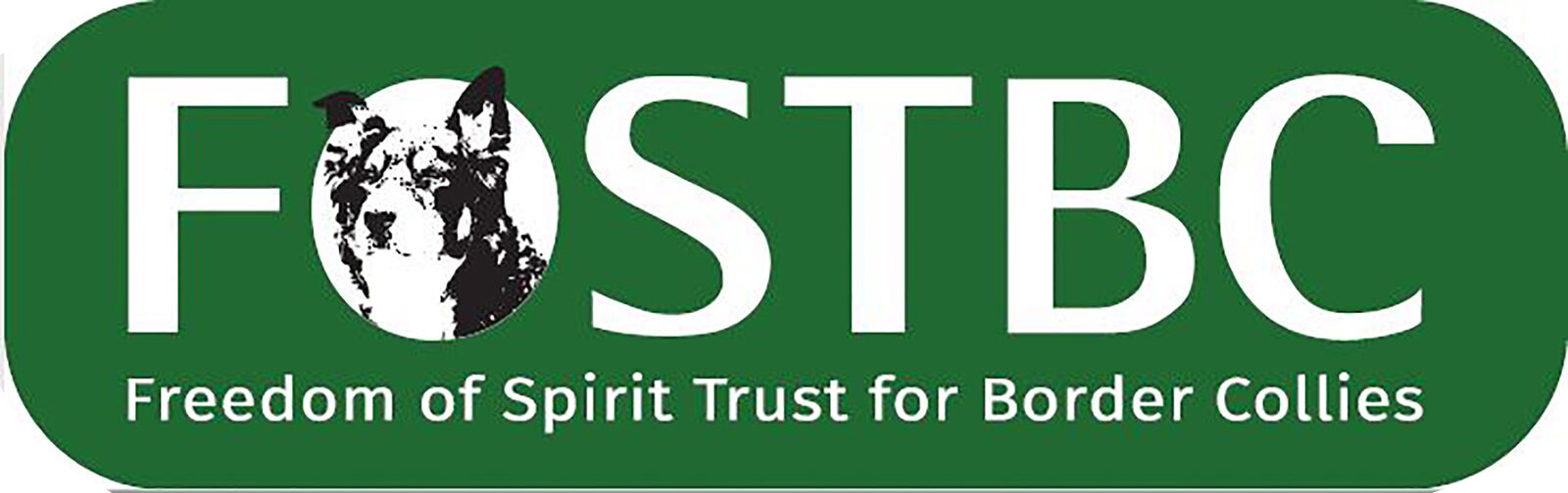 FOSTBC logo history – Fostbc